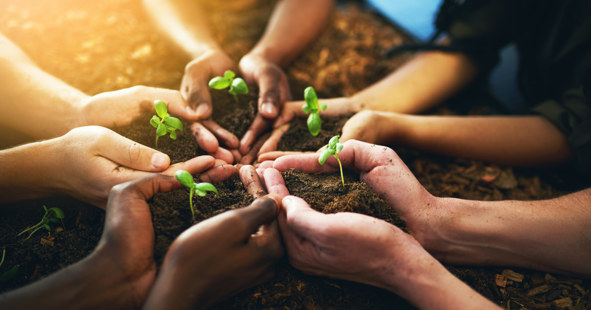 The Environmental Impact of Paper Business Cards